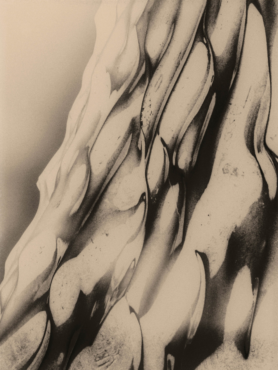 Finalists & Semifinalists – The Print Center | 99th ANNUAL ...